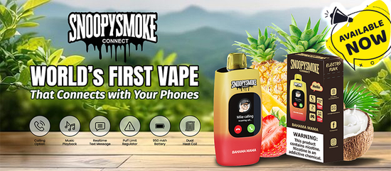Best Disposable Vapes Online | Snoopy Smoke Official